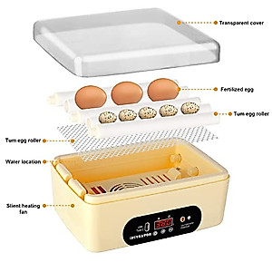 Chicken Egg Incubator, Automatic Egg Hatching Incubator,4-6 Mini Eggs Poultry Hatcher with Temperature Control Humidity Display for Hatching Chicken Quail Duck Bird Eggs