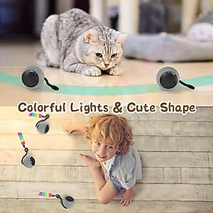 WAKHJAKT Interactive Cat Toys for Indoor Cats, DIY 5 in 1 Automatic Moving Cat Ball Toys/Puppies Toys with LED Rainbow Lights, Smart Sounds&Touch Control Cat Toys,USB Rechargeable (Grey)