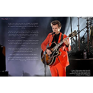 Harry Styles: Adore You: The Illustrated Biography