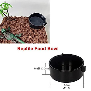 Lucky Interests 2 pcs Reptile Hide Box, Reptile Gecko Cave with Texture, Reptile and Amphibians Hide Hideout Houses for Lizard Turtle Gecko Chameleon Spider Scorpion with 2 Reptile Food Bowl (S, L)
