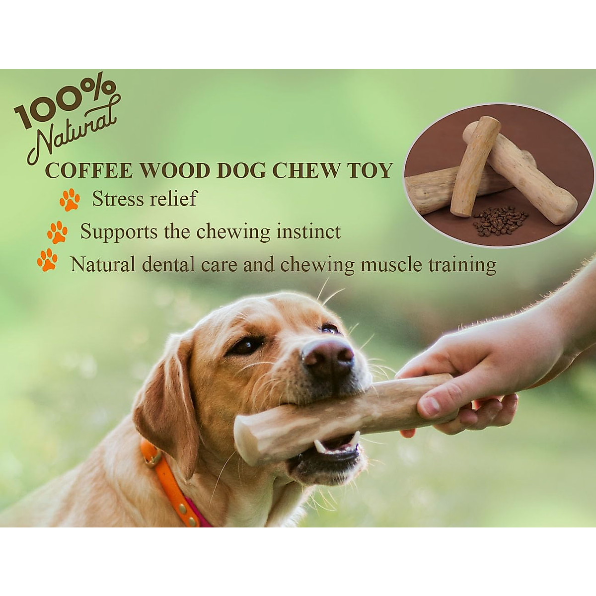 BENRIKIDS Real Coffee Wood Dog Chew, Long Lasting, Durable Chewable Stick and Dog Toy, Wood Chew Toy for Dogs, Dental Care & Chewing Muscle Training Coffee Wood Stick for Dogs, 1Pc Size M