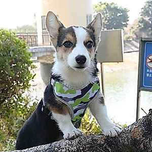 Adjustable Pet Harness Breathable Dog Chest Straps Vest Type Pet Chest Back Reflective No- Pull Dog Harness for Pet (Green, Size M) Dog Costumes Dog Clothes