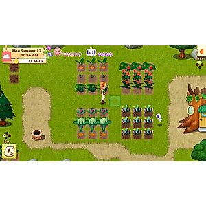 Harvest Moon: Light of Hope Special Edition - PlayStation 4