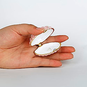 SEVENBEES Seashell Trinket Box Hinged Jewelry Boxes Sea Shell Trinket Box Seashells Ring Holder Figurine Collectible Ring Holder