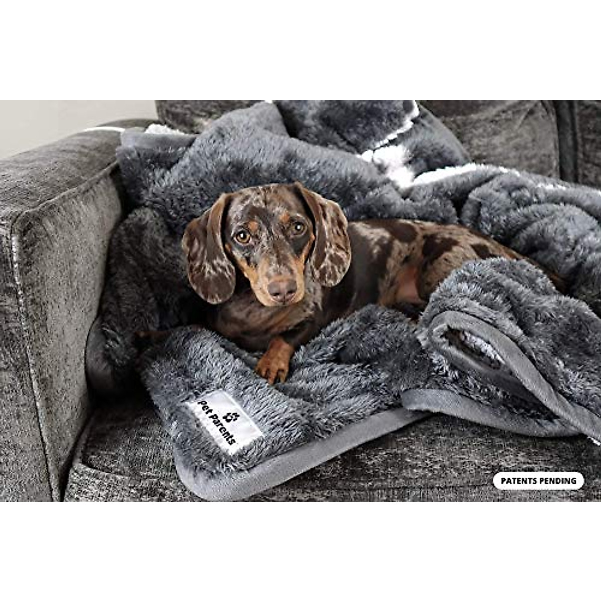 Pet Parents Pawtect Blanket, Premium Waterproof Cat & Dog Blanket with WickQuick & Sherpup Technology, Puppy Blanket, Waterproof Dog Blanket, Blankets for Dogs, Cat Blanket Slate 32x40