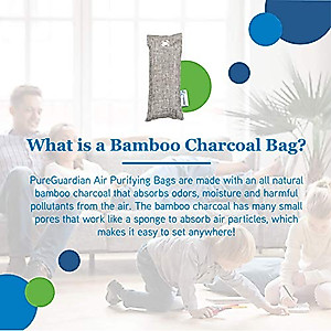 PureGuardian Guardian Technologies CB075 Bamboo Charcoal Air Purifying Bags, Eco-Friendly, Naturally Absorbs Odors, Excess Moisture and Pollutants, 2-pack - 75g each, Gray