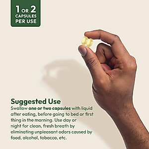 ANDREW LESSMAN Breath Plus 60 Softgels - Natural Breath Freshener, Helps Eliminate Odors from Food, Smoking, Morning Breath from The Inside Out. Peppermint, Spearmint. Easy to Swallow Softgels