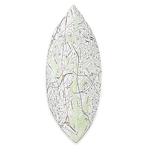 Football City USA South Carolina Rock Hill SC Map (2017) Throw Pillow, 16x16, Multicolor