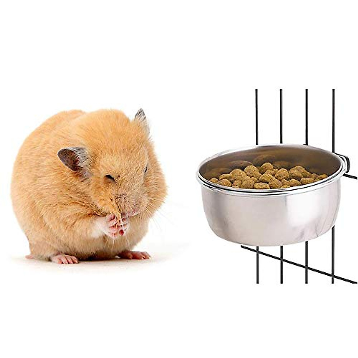 Tfwadmx Bird Feeding Dish Cups Parrot Food Bowl Clamp Holder Coop Cup, Bird Cage Water Bowl for Parakeet African Greys Conure Cockatiels Lovebird Budgie Chinchilla 2 Pack