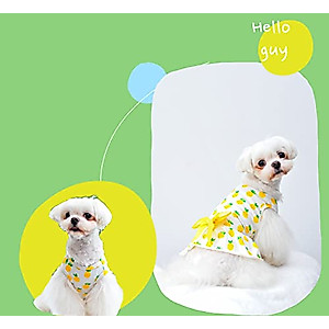 MSNFOASM 3-Pack Cherry Lemon Pineapple Print Dog Dress,Doggie Tank Top Vest Dresses,Holiday Cat Outfits,Soft Clothes for Small Dogs Girl(Small)