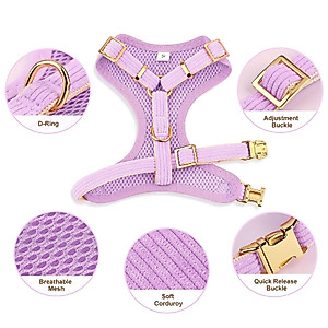 Didog Cute Small Dog Harness Collar & Leash Set, Adjustable Dog Collars and Leashes with Bowtie, Breathable Soft Mesh Padded Dog Vest for Puppies Small Dogs Walking, Purple, M