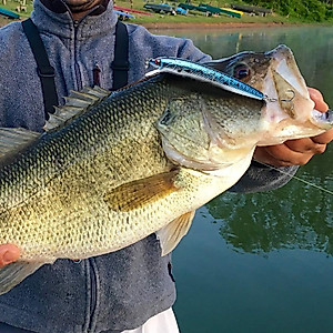 Aneew Bulk 56 Pack Topwater Fishing Bass Lures Kit Tackle Crankbait Swimbaits Jerkbaits Minnow Popper Pencil Vib Hard Baits Trout Pike Musky Walleye Perch Treble Hook Freshwater Saltwater