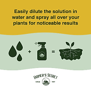 Farmer’s Secret - Snake Plant Liquid Plant Food - Strengthen Roots and Encourage Growth - for Indoor and Outdoor Plants - Long-Lasting Formula - 8 OZ