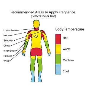 Al Rehab Soft Eau de Parfum Spray for Women, 1.18 Ounce