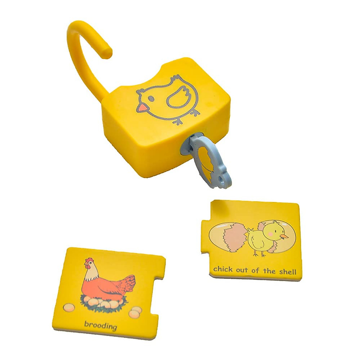 Montessori Lock and Key Set Kids Learning Locks with Keys Montessori Toys Materials for Toddlers Ages 3 yrs+ Boys and Girls Preschool Education Games Gift (ZSRCSH)