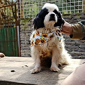 CROWNED BEAUTY Spring Summer Dog Bandanas Reversible Large 2 Pack, Watermelon Sunflower Set, Green Plaid Polka Dots Adjustable Triangle Holiday Scarves for Medium Large Extra Large Dogs Pets DB38-L