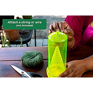 RESCUE! Reusable Yellowjacket Trap - 2 Pack + 2 Ten-Week Refills