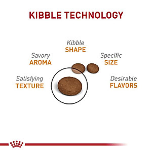 Royal Canin Hair & Skin Care Dry Cat Food, 6 lbs.