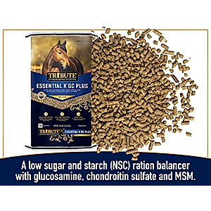 Tribute Essential K GC Plus for Horse, 50 lb