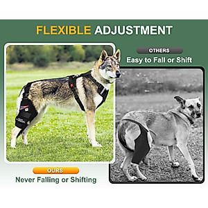 Virbraroo 8X Support Dog Knee Brace with Metal Strips for Joint Pain Relief, Dog Leg Brace for Torn Acl Hind Leg, Rear Leg Brace with Adjustable Traction Belt for Cruciate Ligament Injury (M)