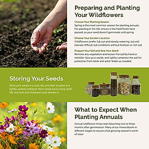 Eden Brothers All Annual Wildflower Mixed Seeds for Planting, 1 lb, 480,000+ Seeds with Sunflower, Indian Blanket, Scarlet Flax | Attracts Pollinators, Plant in Spring, Zones 3, 4, 5, 6, 7, 8, 9, 10