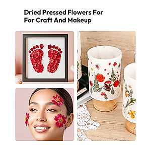 Dried Flowers, Resiners 100 Pcs Pressed Flowers for Craft Red Real Natural Dried Flowers Dry Leaves Kit for DIY Making Crafts Resin Soap Candle Scrapbook Supplies Card Making Jewelry
