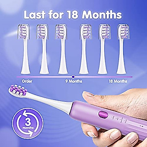 SARMOCARE Sonic Electric Toothbrush with 6 Replacement Heads and Premium Travel Case, 4 Modes, Rechargeable Power Toothbrush, Purple M300