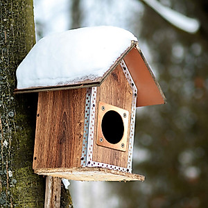 Metal Portal Bird House Guard Copper Portal for Eastern Bluebird Houses 1 Opening (6, 1.5 Inch)