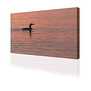 Large Wall Art Loon in dawns light Painting Poster Print on Canvas Artwork for Living Room Bedroom Stretched and Framed Ready to Hang 20”x40”