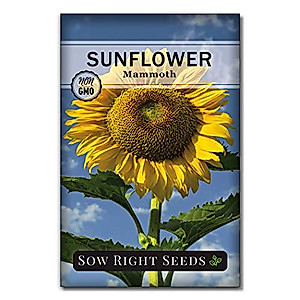 Sow Right Seeds - Sunflower Garden Seed Collection for Planting Outdoors - Large Individual Packets of Mammoth Sunflower and Sunflower Mix. Non-GMO Heirloom Seed to Grow - Wonderful Gardening Gift