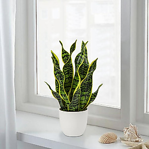 Hollyone Artificial Snake Plant Potted Faux Sansevieria Trifasciata Plants, 16.5" Tropical Fake Plants in White Pots for Home Office Room Indoor Decor Housewarming Gifts