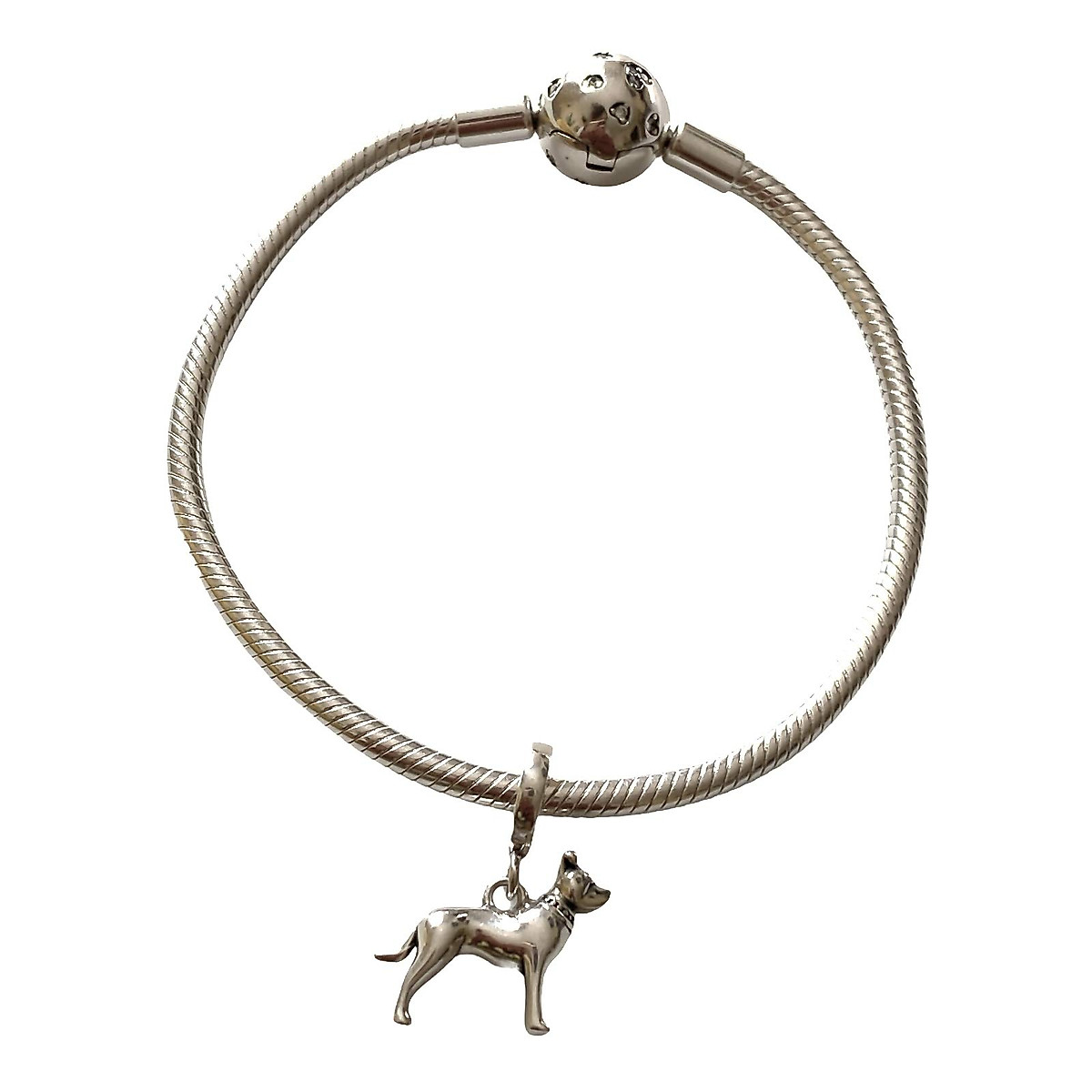 Bolenvi Pitbull American Pit Bull Terrier Bully Dog 925 Sterling Silver Pendant Charm Bead for Pandora & Similar Charm Bracelets or Necklaces