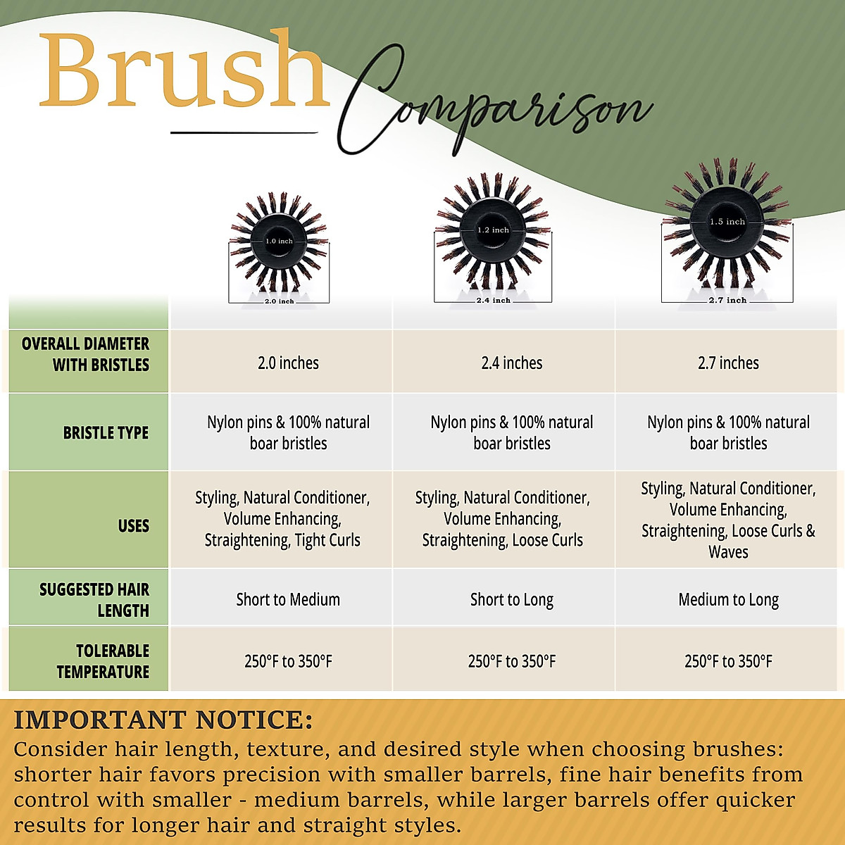 Belula Boar Bristle Round Brush for Blow Drying Set. Round Hair Brush With Medium 2.4" Wooden Barrel. Hairbrush Ideal to Add Volume and Body. Free 3 x Hair Clips & Travel Bag.