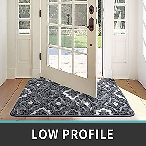 DEXI Door Mats Indoor, Durable Absorbent Non Slip Front Door Rugs for Inside House, Low Profile Easy Clean Entrance Mat, 36"x24", Grey