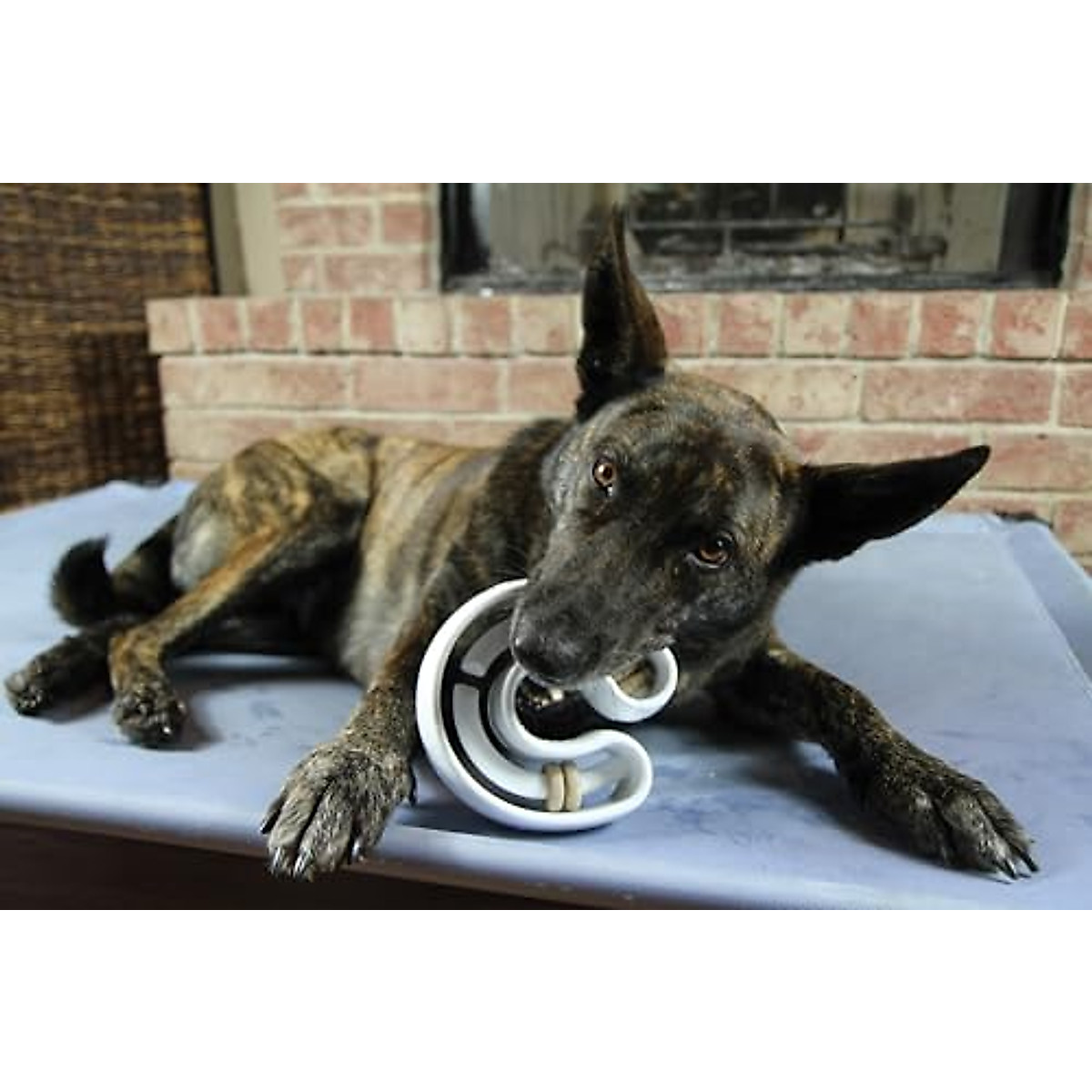 Treat Ringer Horseshoe