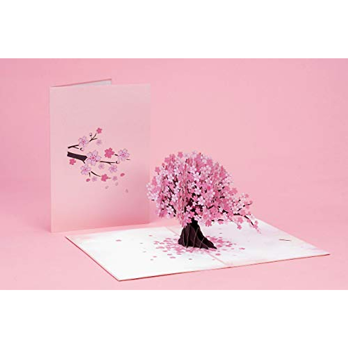 Paper Love 3D Cherry Blossom Pop Up Card, For Valentines, Spring, Mothers Day, All Occasions - 5" x 7" Cover - Includes Envelope and Note Tag