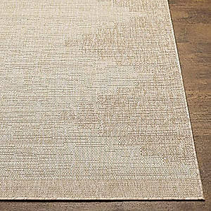 BoutiqueRugs Djugun Moroccan Geometric Area Rug - Outdoor Safe - Performance Rug for Porch, Patio, Entryway - High Traffic Rug - Beige, Cream, Tan, Brown - 2' x 2'11" (2x3 Small Area Rug)