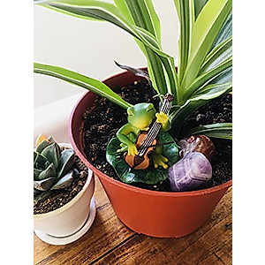 Miniature Frog Garden Statue - 2" Tall - Mini Outdoor Accessory Figurine for Fairy Garden