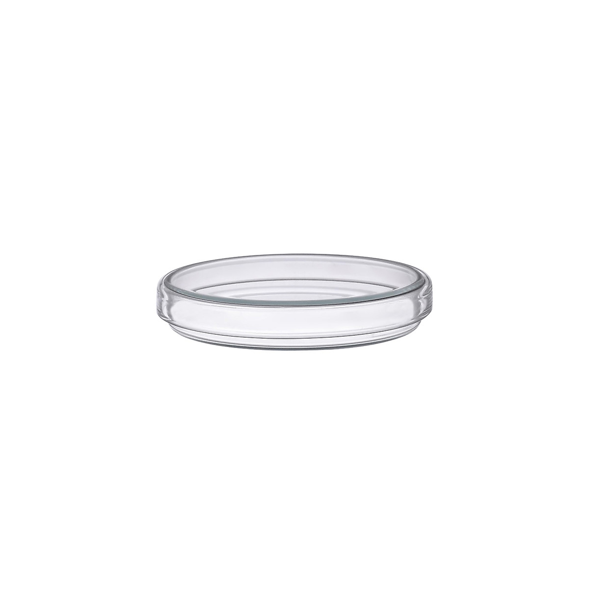 EISCO Petri Dish, 5.9" (150mm) - Beaded Edges - Easy to Sterilize for Repeated Use - Soda Glass