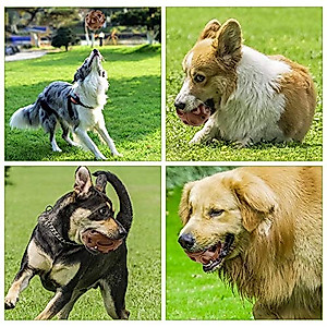 YUANDAO Dog Ball Dog Squeaky Toys for Aggressive Chewers, Almost Indestructible Rubber Puppy Chewing Ball with Squeaker Durable Pet Teeth Cleaning Toy for Medium and Large Breed