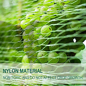 Garden Netting Anti Bird Protection Net 4M x 10M / 13Ft x 33Ft Green Garden Plant Netting Fruit Trees Netting with 20 Tacks and 50 Ties