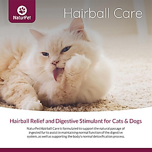 NaturPet Hairball Care | Natural Herbal Drops to Support Digestion, Hairballs, Gas, Bloating | Cats& Dogs | 100mL
