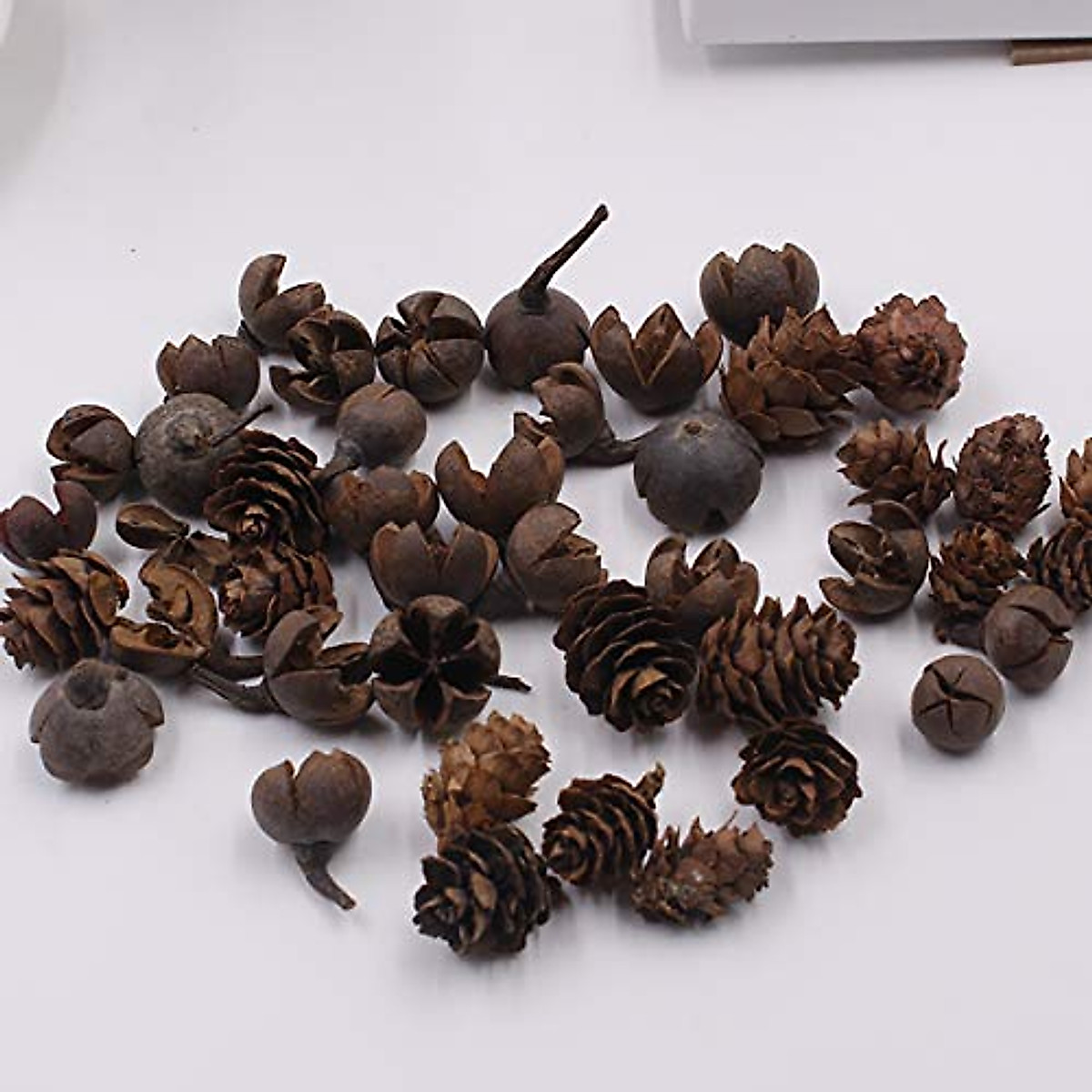 Queenbox 20Pcs Natural Dried Acorn Cap Craft DIY, Home Christmas Thanksgiving Decorative Fall Winter Holiday Home Decor