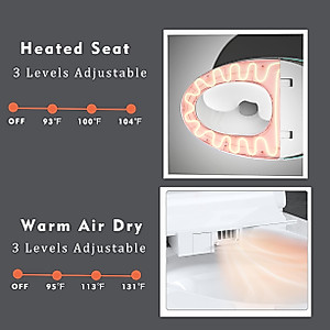 WinZo Luxury Smart Toilet With Bidet Seat, Elongated Egg Shaped Modern Design, Auto Open Auto Flush, Adjusted Heated Seat, Warm Water and Dryer, Night Light, Side Buttons, Grey