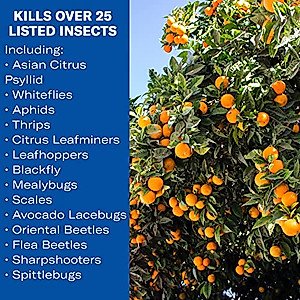 BioAdvanced Fruit & Citrus Tree, Concentrate, for Insects 32 oz