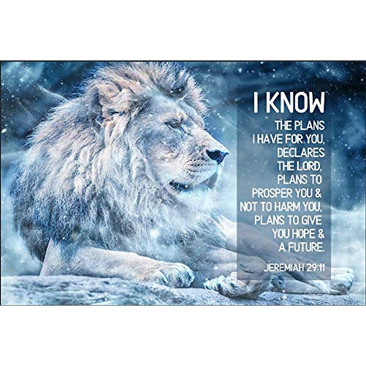 Jeremiah 29 Prayer Mat – EasyPray Soft Memory Foam - I Know The Plans I Have for You Lion of Judah Bible Verse Christian Prayer Mat (60x90cm)