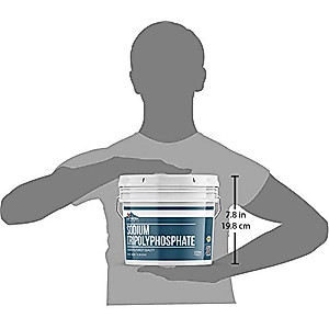 Earthborn Elements Sodium Tripolyphosphate, 1 Gallon Bucket, Powerful Cleaning Agent, Water Softener, Laundry Additive, Resealable Bucket