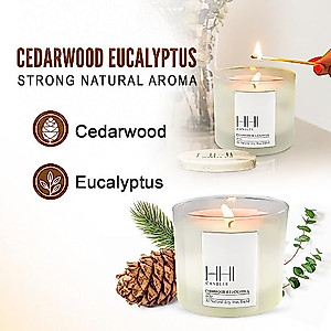 All-Natural Scented Soy Wax Eucalyptus Cedarwood Candle | Large Eight Ounce Single Wick | Long Burn time | HHI Candles