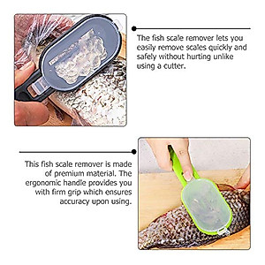Cabilock Tile Tools 3pcs Fish Scaler Sawtooth Scarper Stainless Steel Fish Scales Cleaning Brush Fish Scales Skin Removing Peeling Gadget Seafood Processing Kitchen Tool (Random Color)