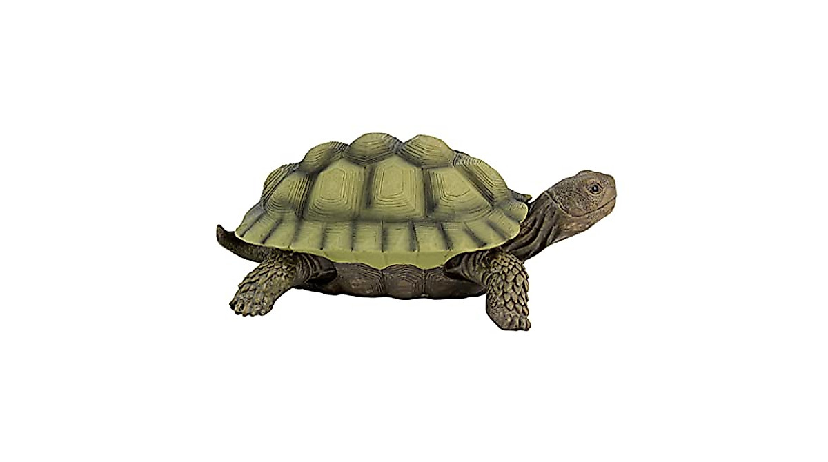 Garden Decor: Gilbert The Box Turtle Statue | Design Toscano
